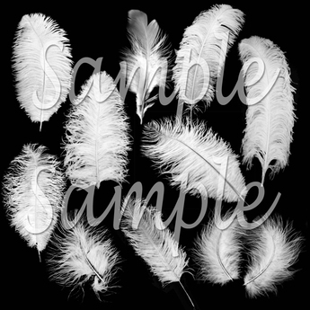 Second Life Marketplace - .:TT:. Textures - 10 Alpha Marabou Feathers